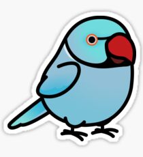 Indian Ringneck Stickers | Redbubble