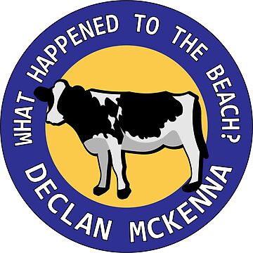 "Declan Mckenna what happened to the beach?" Sticker for Sale by ...