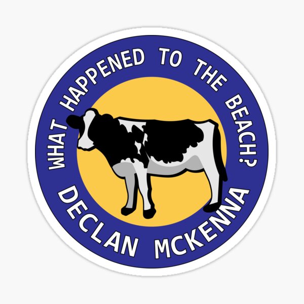 "Declan Mckenna what happened to the beach?" Sticker for Sale by ...