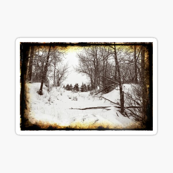 "Old Trailhead" Sticker for Sale by PhrozenPhotos | Redbubble