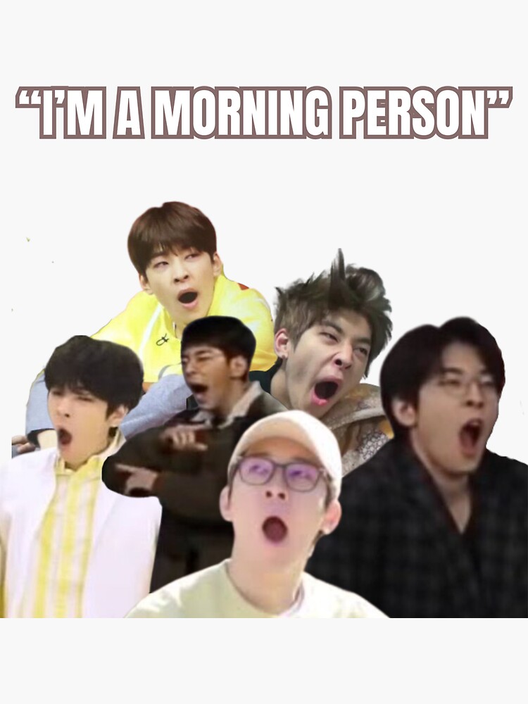 "SEVENTEEN WONWOO MEME" Sticker for Sale by cutiecatto17 | Redbubble