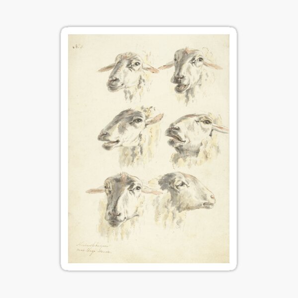 "Vintage Sheep Illustration, 1800 " Sticker by fineearth | Redbubble