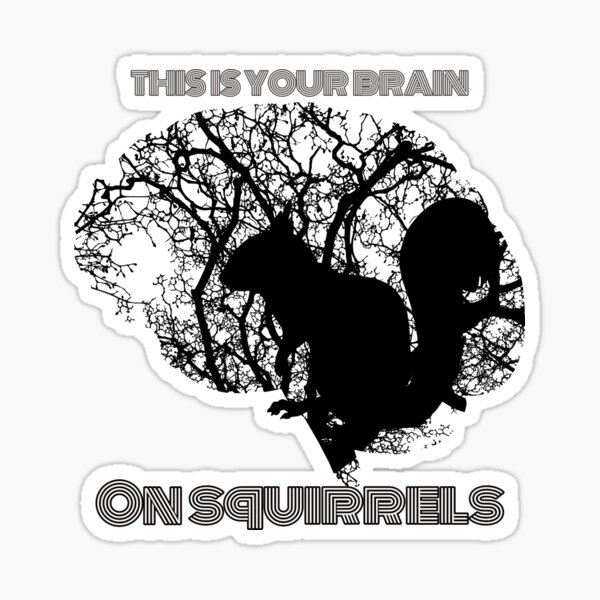 "Brain On Squirrels" Sticker for Sale by beardedbehavior | Redbubble