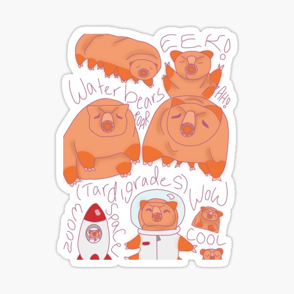 "Tardigrade (Water Bear) Sketch Page" Sticker for Sale by EllisaurusArt ...