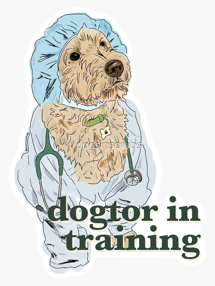 "Dogtor in training sticker " Sticker for Sale by dogsinscrubs | Redbubble