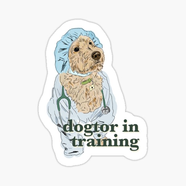 "Dogtor in training sticker " Sticker for Sale by dogsinscrubs | Redbubble