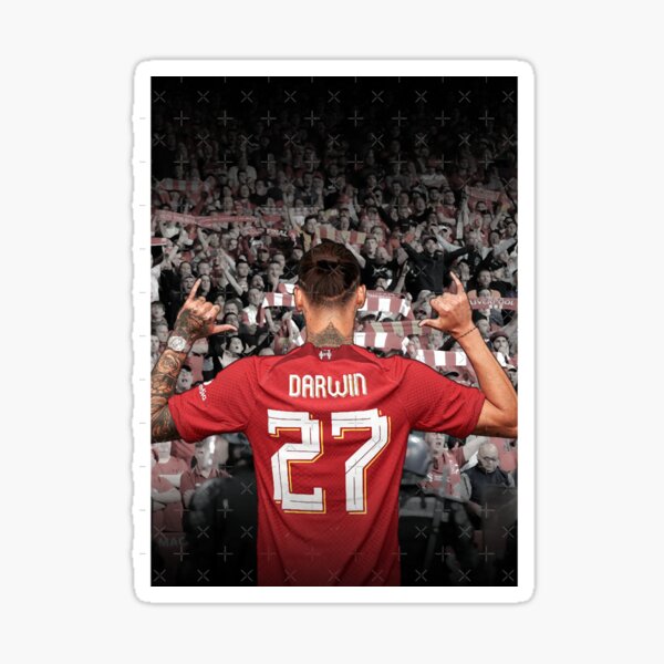 "Darwin Nunez Liverpool (1)" Sticker for Sale by nayerheo | Redbubble