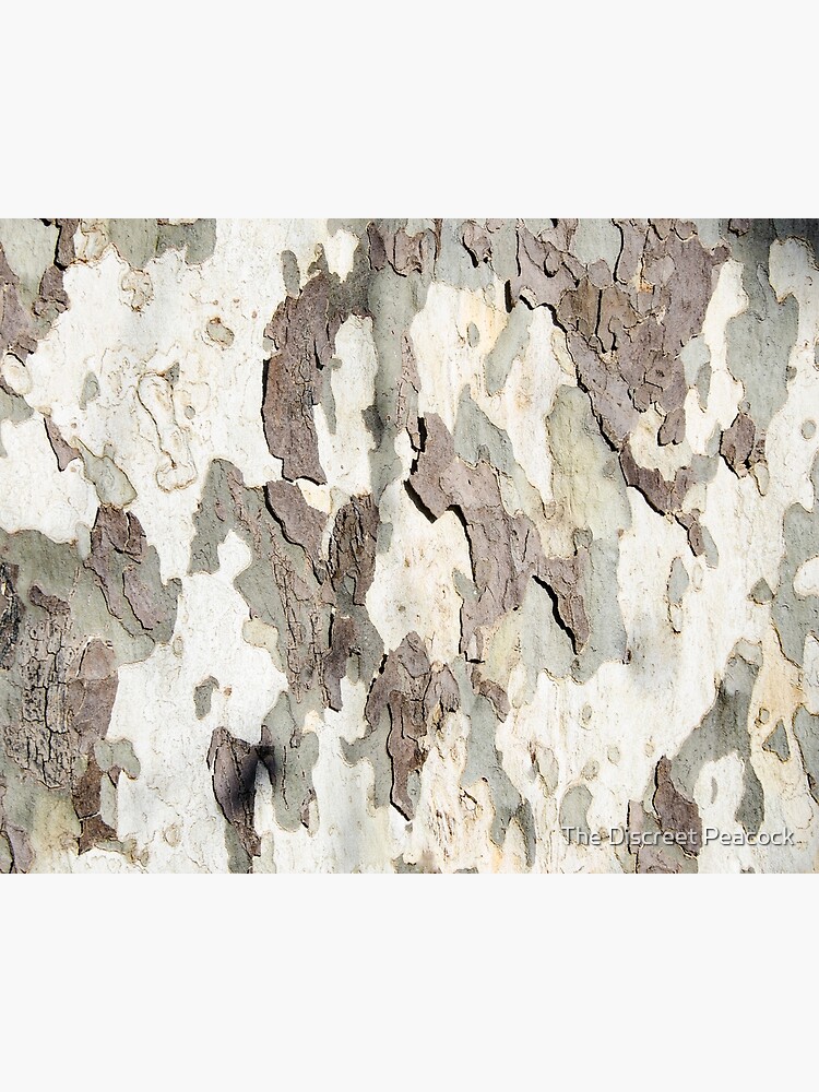 "Bark Map" Poster by discreetpeacock | Redbubble