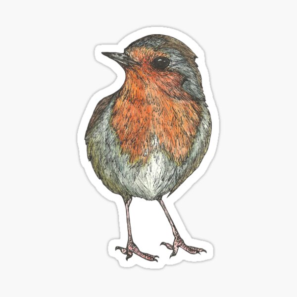 "Robin" Sticker for Sale by SerenSketches | Redbubble