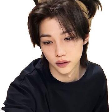 "Felix Stray Kids K-pop SKZ Deco Merch" Sticker for Sale by KPopPalette ...