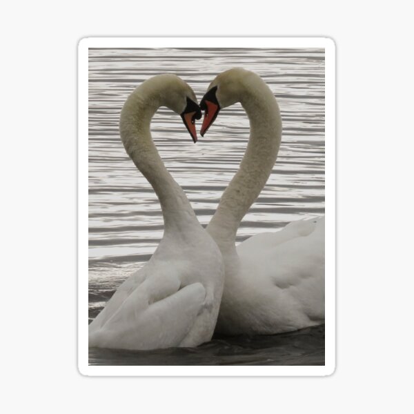 "Bumping Heads" Sticker for Sale by Tim Dusenberry | Redbubble