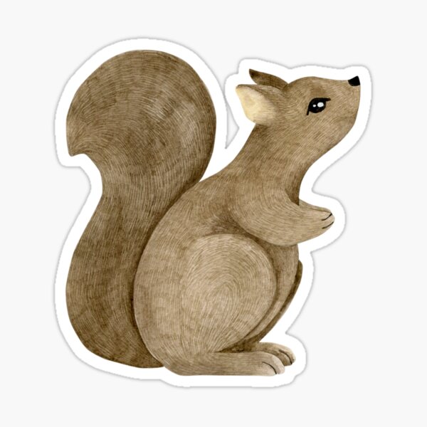 "Squirrel " Sticker for Sale by MLMilligan | Redbubble