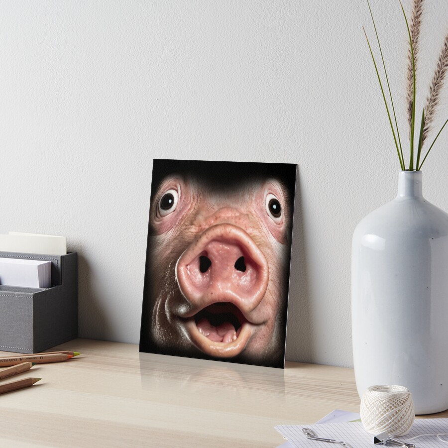 "Funny Surprised Pig Face Meme Big Troll Hog Piggy Face" Poster for ...