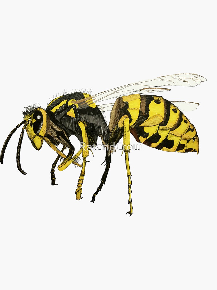 "Wasp" Sticker for Sale by RatandCrow | Redbubble