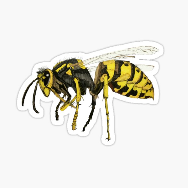 "Wasp" Sticker for Sale by RatandCrow | Redbubble