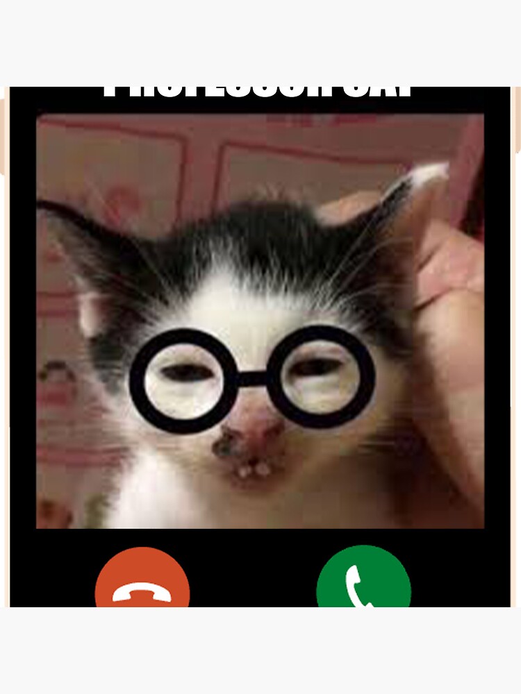 Prof Cat Memes Professor Cat | TikTok