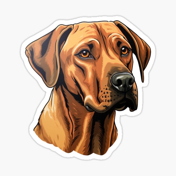 "Rhodesian ridgeback portrait" Sticker for Sale by ArtfulPlay | Redbubble