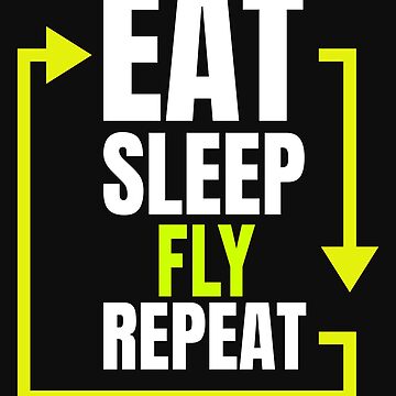 "Eat Sleep Fly Repeat,Travel, Aviation Themed Tee | Cabin Crew, Flight ...