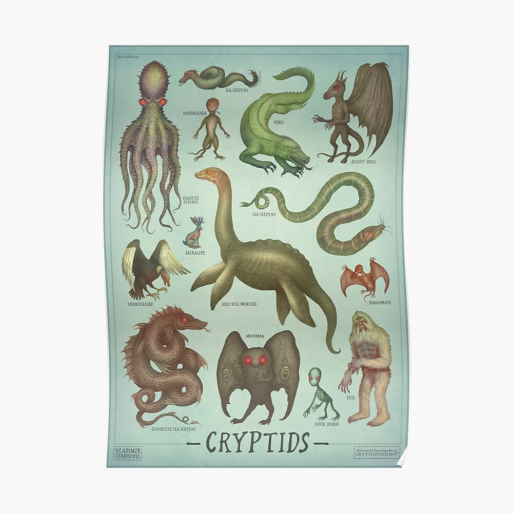 Know Your Cryptids Wall Chart The Daily Grail