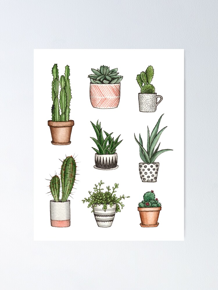 "home plants. cactus and succulents" Poster by alenaganzhela | Redbubble