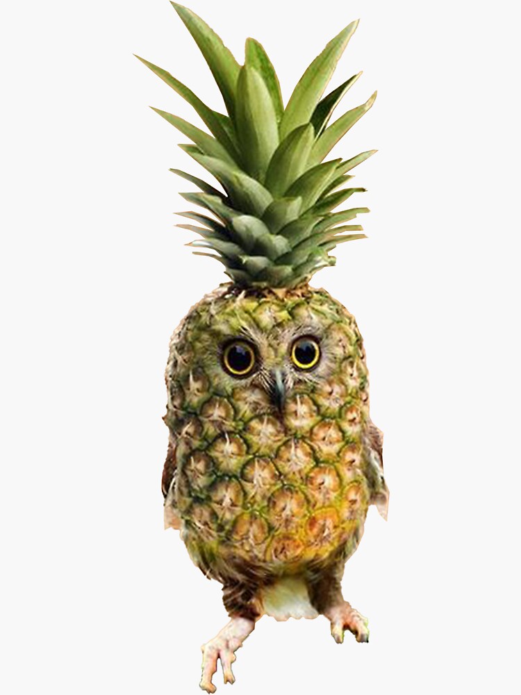 "Pineapple Owl" Sticker by WRACK | Redbubble