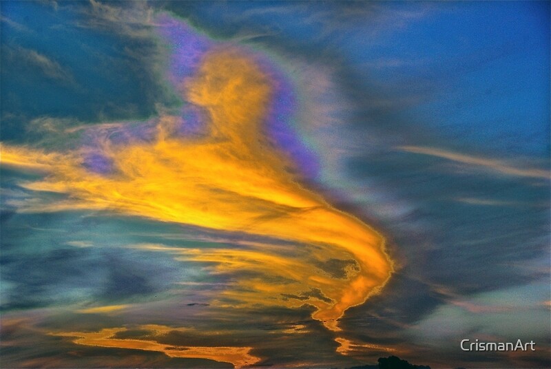 "Golden Wind" by CrismanArt | Redbubble