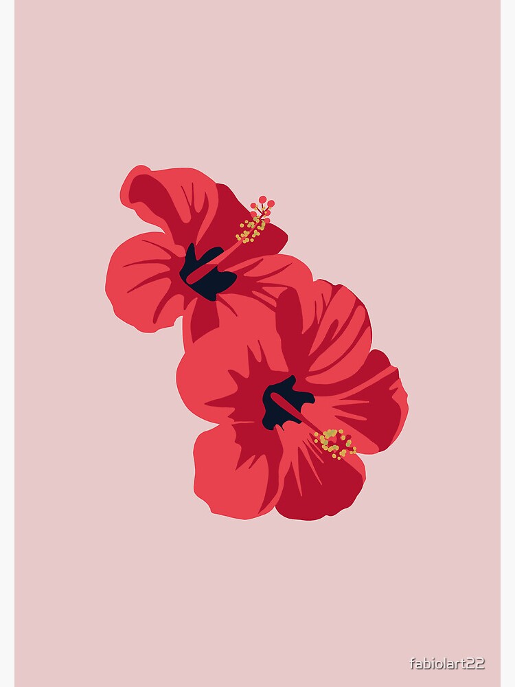 "Flor de Maga Puerto Rico National Flower" Journal for Sale by ...