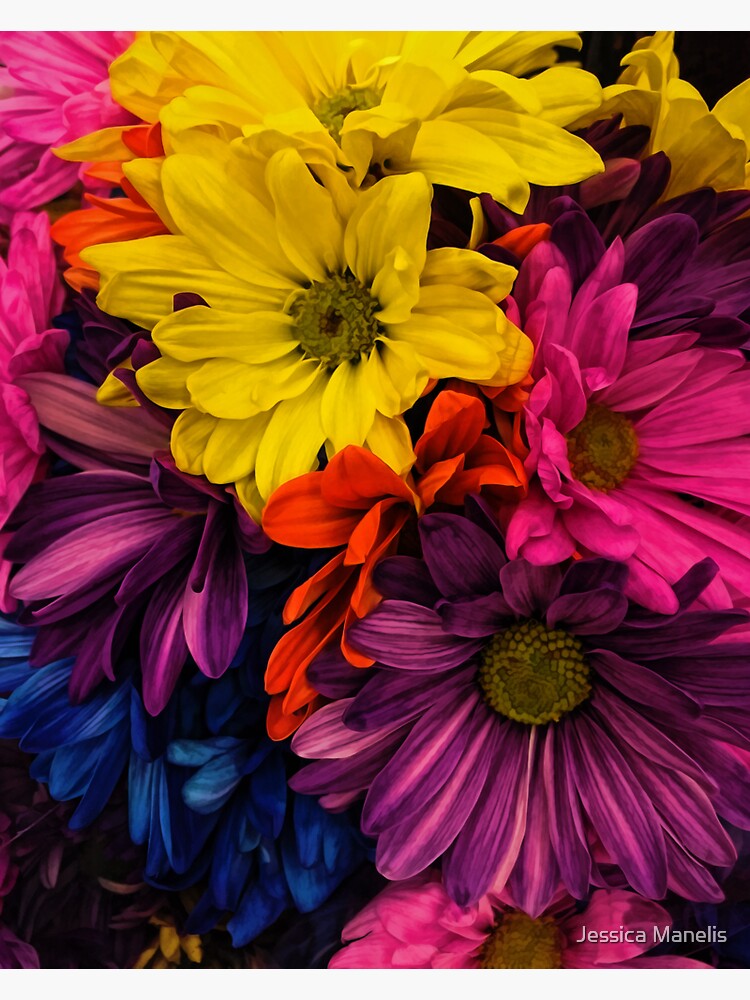 "Riot of Color" Sticker for Sale by jkm1968 | Redbubble