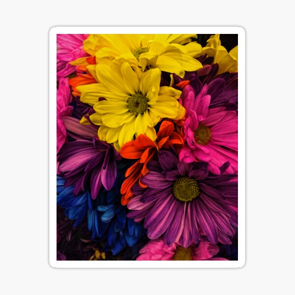 "Riot of Color" Sticker for Sale by jkm1968 | Redbubble