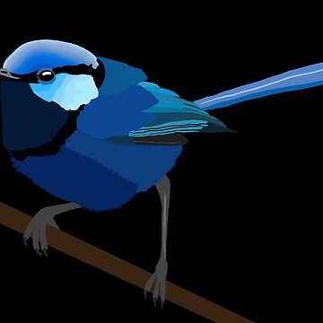 "Superb Fairy wren" Sticker for Sale by KakapoKrafts | Redbubble