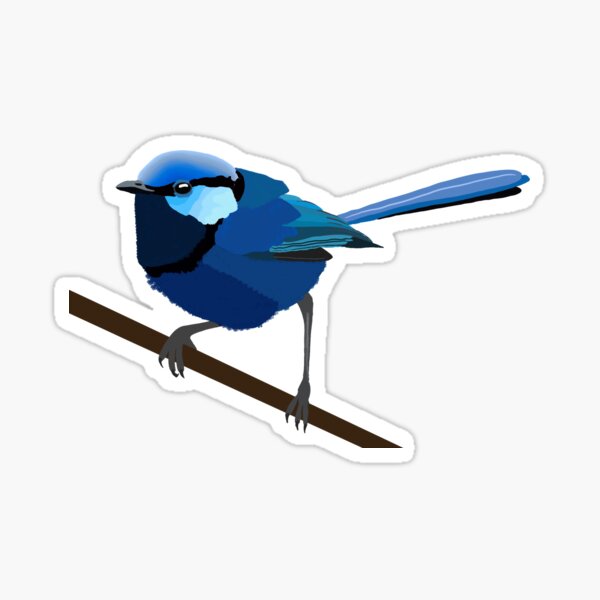 "Superb Fairy wren" Sticker for Sale by KakapoKrafts | Redbubble