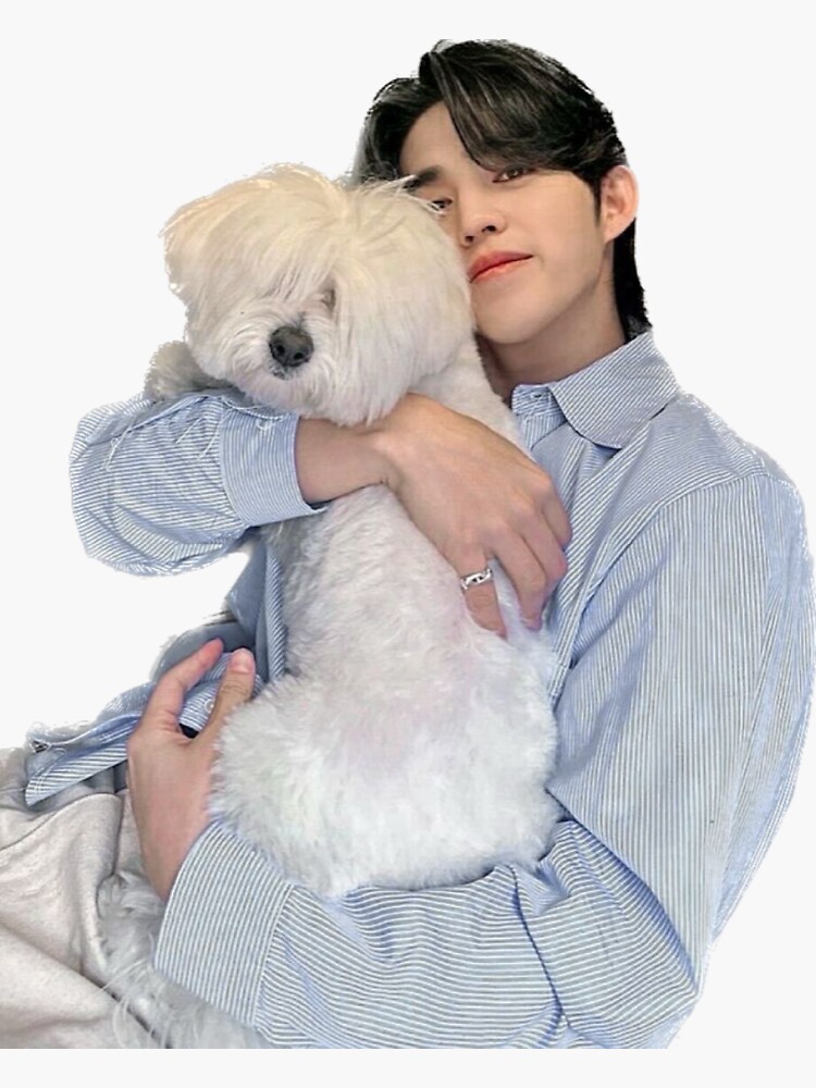 "Scoups, Seungcheol, Choi, Carat, Svt, Seventeen, Sebong, K-pop, Deco ...