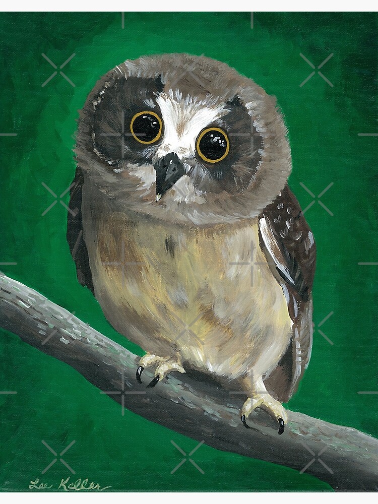 "Cute Baby Owl Art" Poster by leekellerart | Redbubble