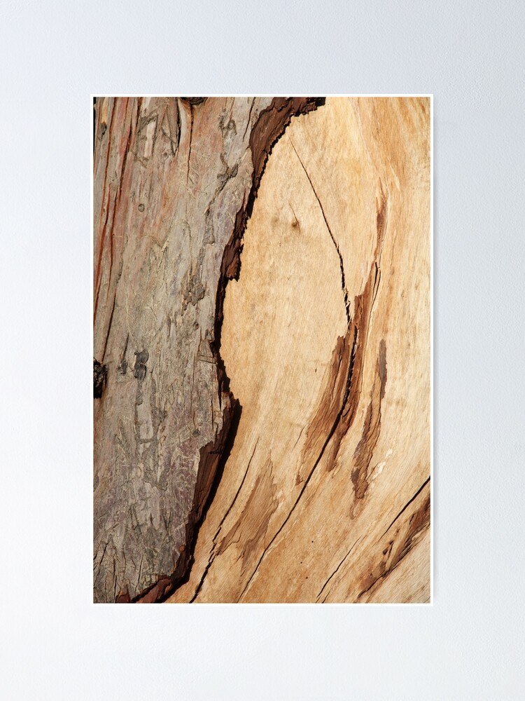 "Wood texture" Poster by agnessa38 | Redbubble