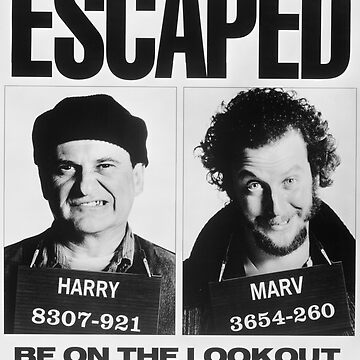 "Escaped Wet Bandits" Poster for Sale by GiaMulle | Redbubble