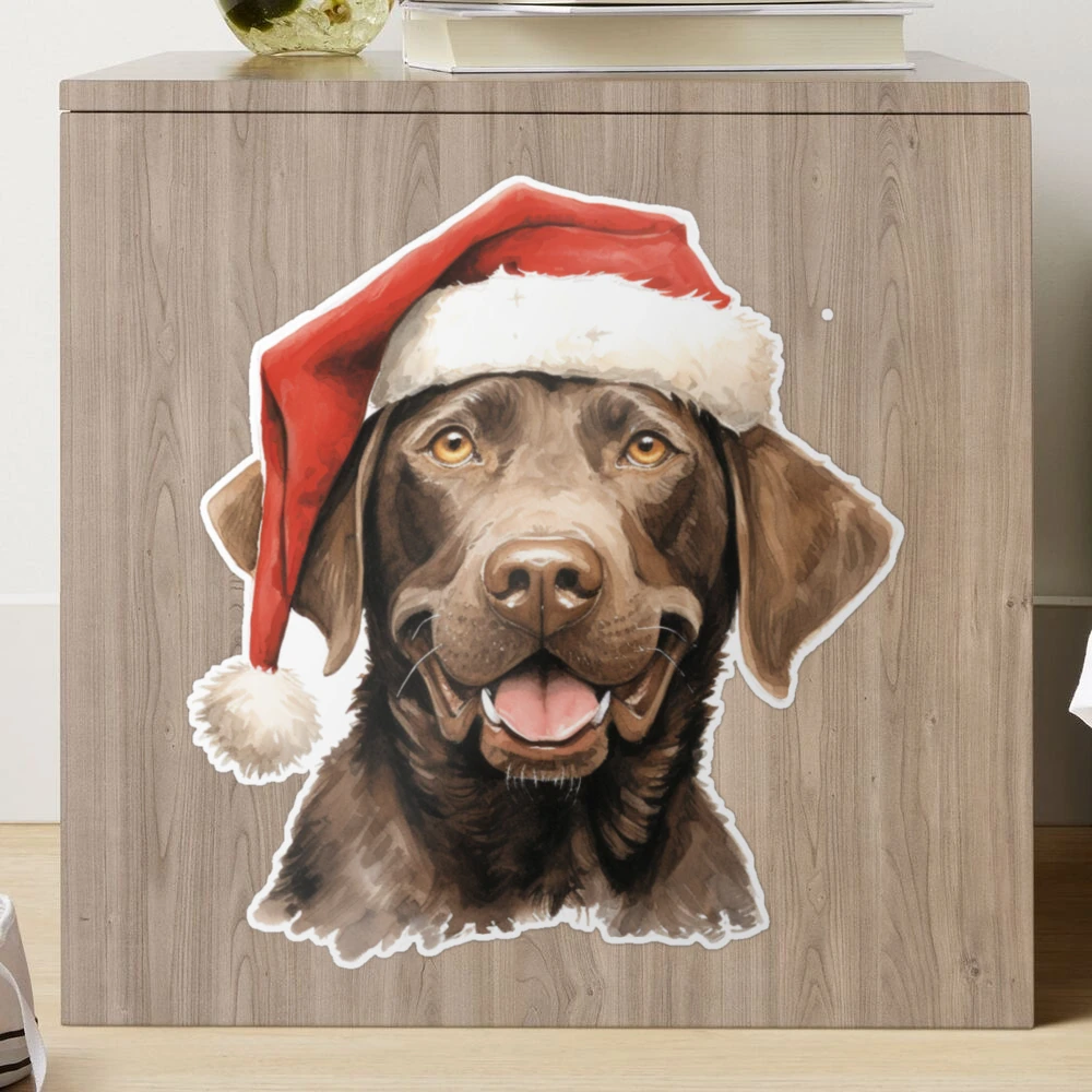 Extra Large Labrador Retrievers Largest Lab Breed 2025