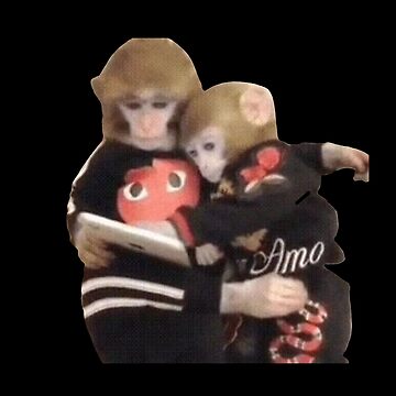 " monkeys cuddling meme " Sticker for Sale by maries-shopz | Redbubble