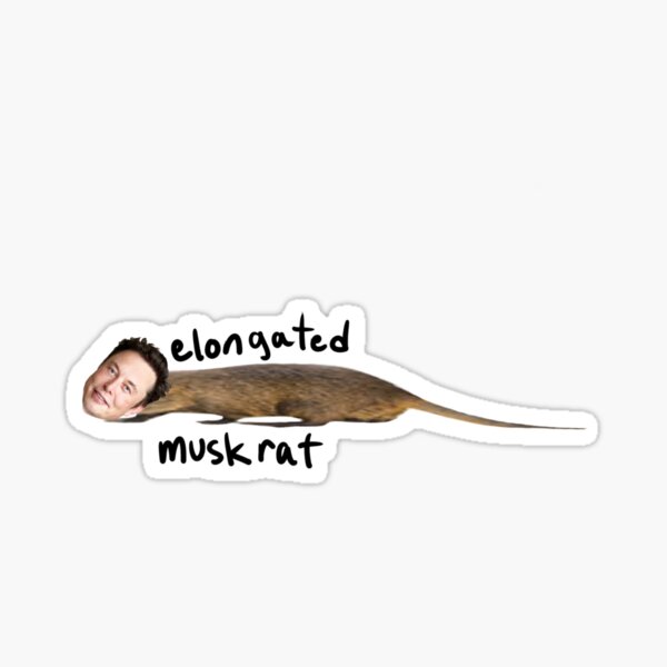 "elongated muskrat" Sticker for Sale by stardust-stoner | Redbubble