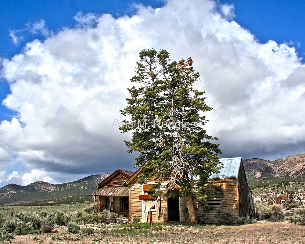 "Leanin' Tree House - Cherry Creek, NV" by Arla Ruggles | Redbubble