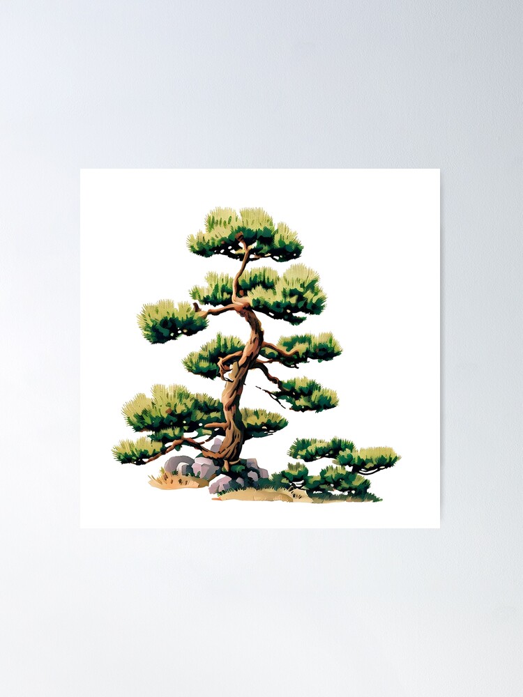 Japanese Pine Tree Drawing