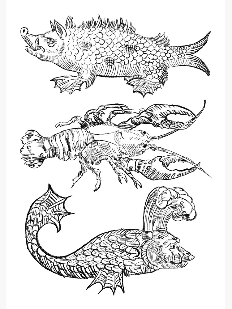 Sea Monsters Drawings