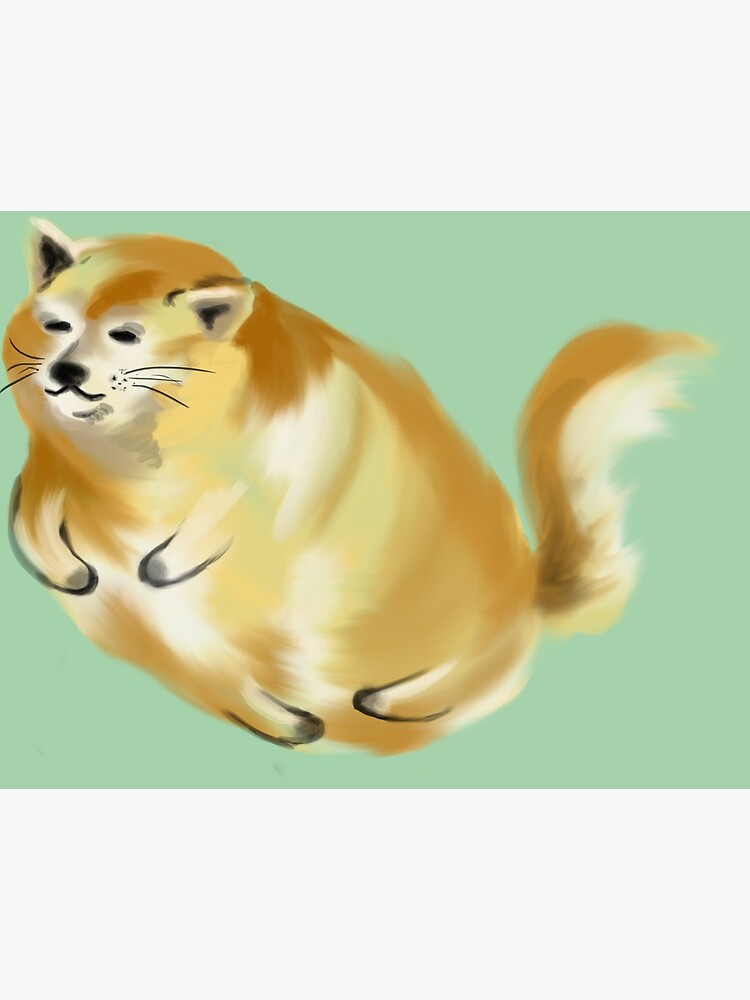 "Fat Shiba Inu" Art Print by ienjoycatsss | Redbubble