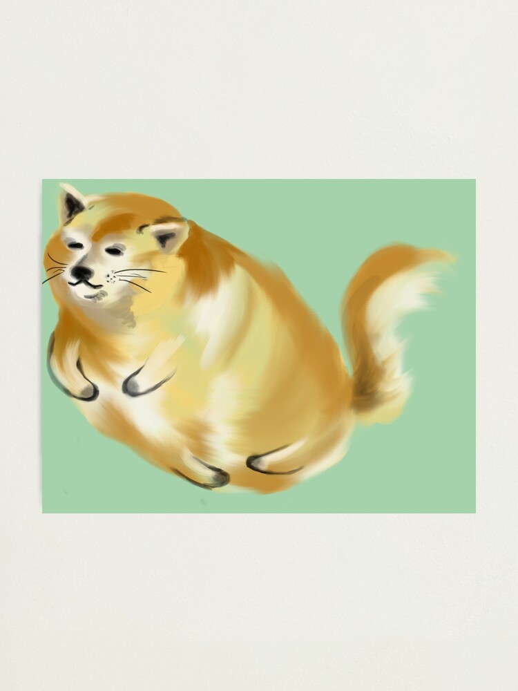 "Fat Shiba Inu" Photographic Print by ienjoycatsss | Redbubble