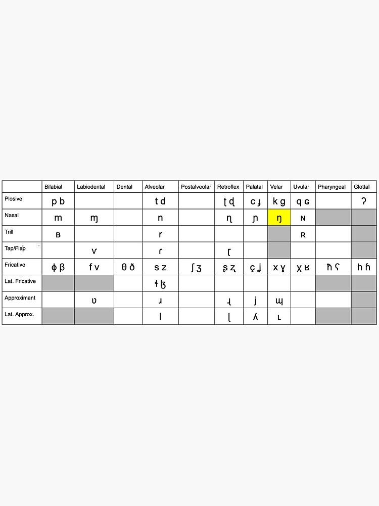 "*Basic* IPA Consonants Chart" Sticker for Sale by AgmaSchwa | Redbubble