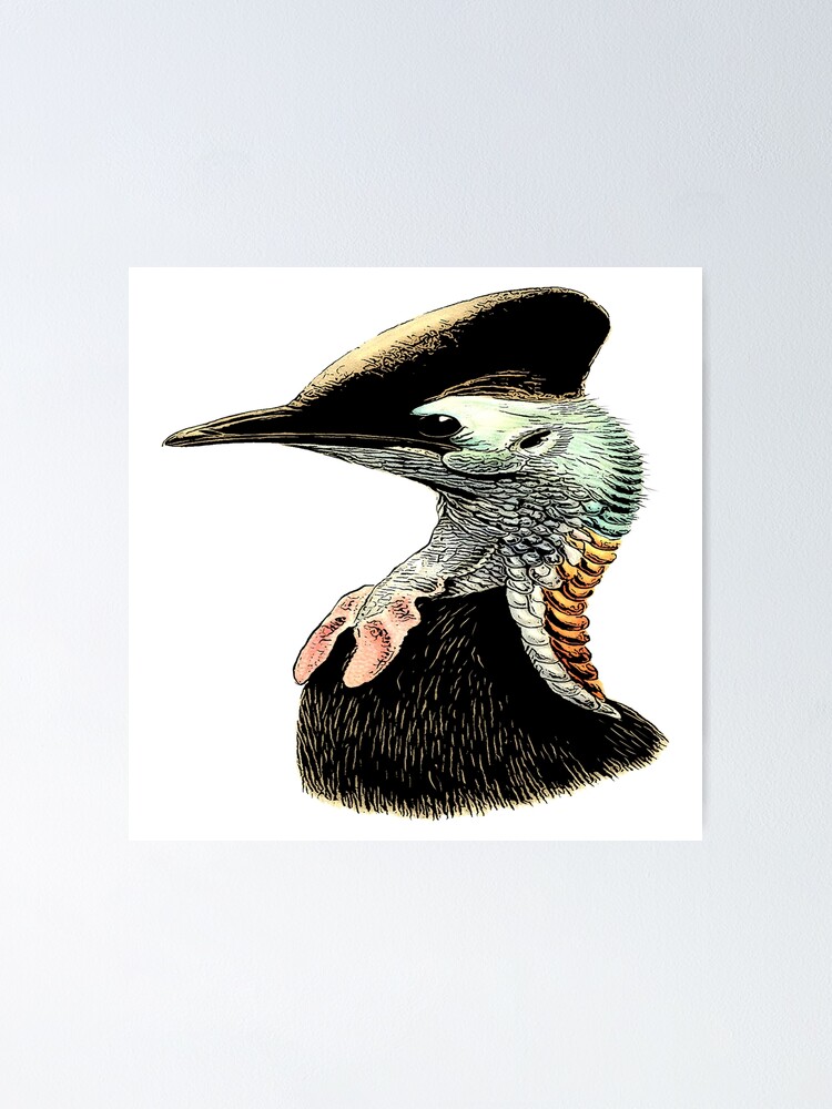 Póster «Pájaro de Ratite del Cassowary de EncycloArt | Australian ...