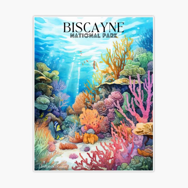 Underwater Biscayne National Park