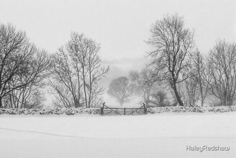 "A beautiful photograph of a cold winter's day." by HaleyRedshaw ...