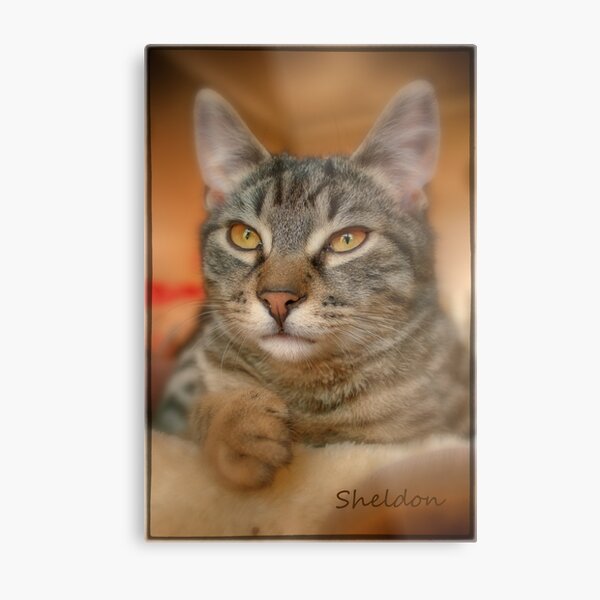 Denise Wainwright Shop | Redbubble