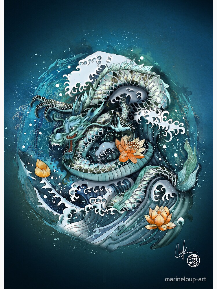 Water Dragon Sketches