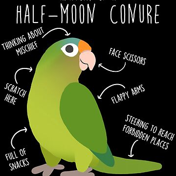 "Half-Moon Conure Parrot Anatomy" Sticker for Sale by Clara Hollins ...